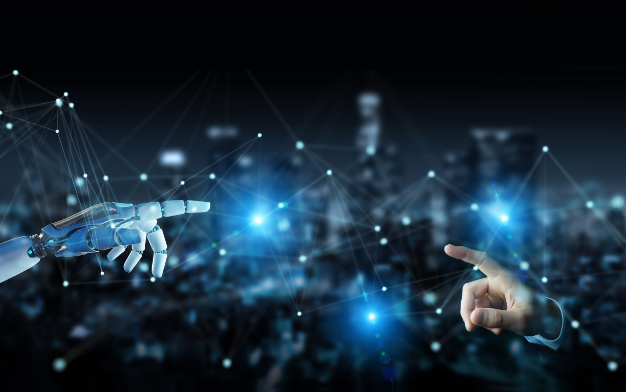 Consultancy and Capability Building